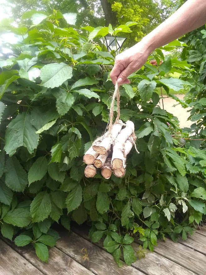 Birch Bundle – Benchmaster WoodworX